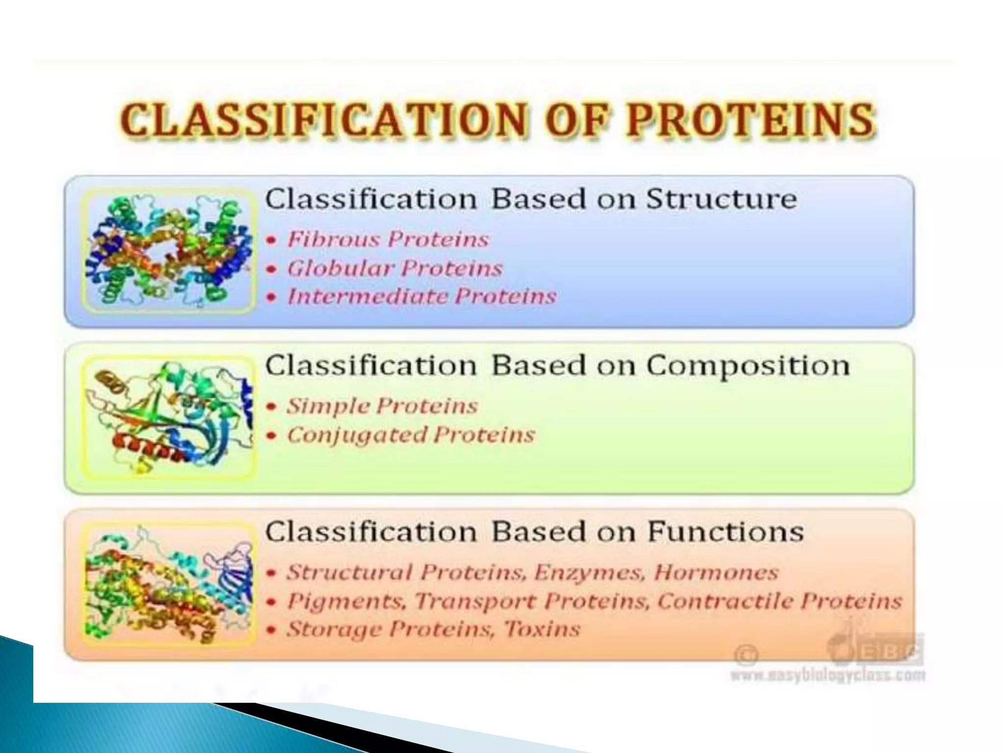 Proteins | PPTX