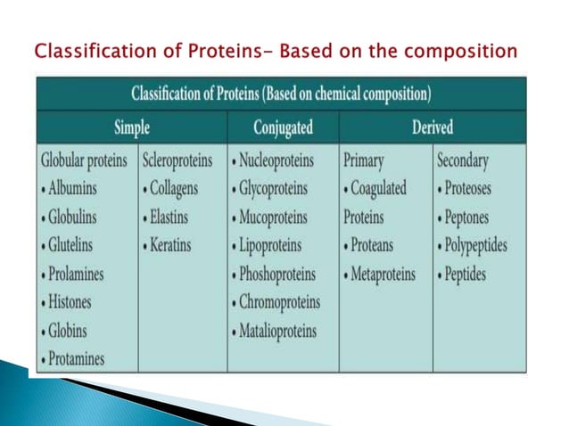 Proteins | PPTX