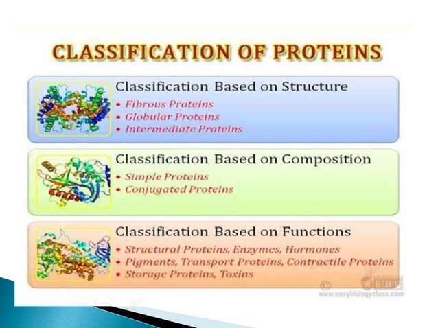 Proteins | PPTX