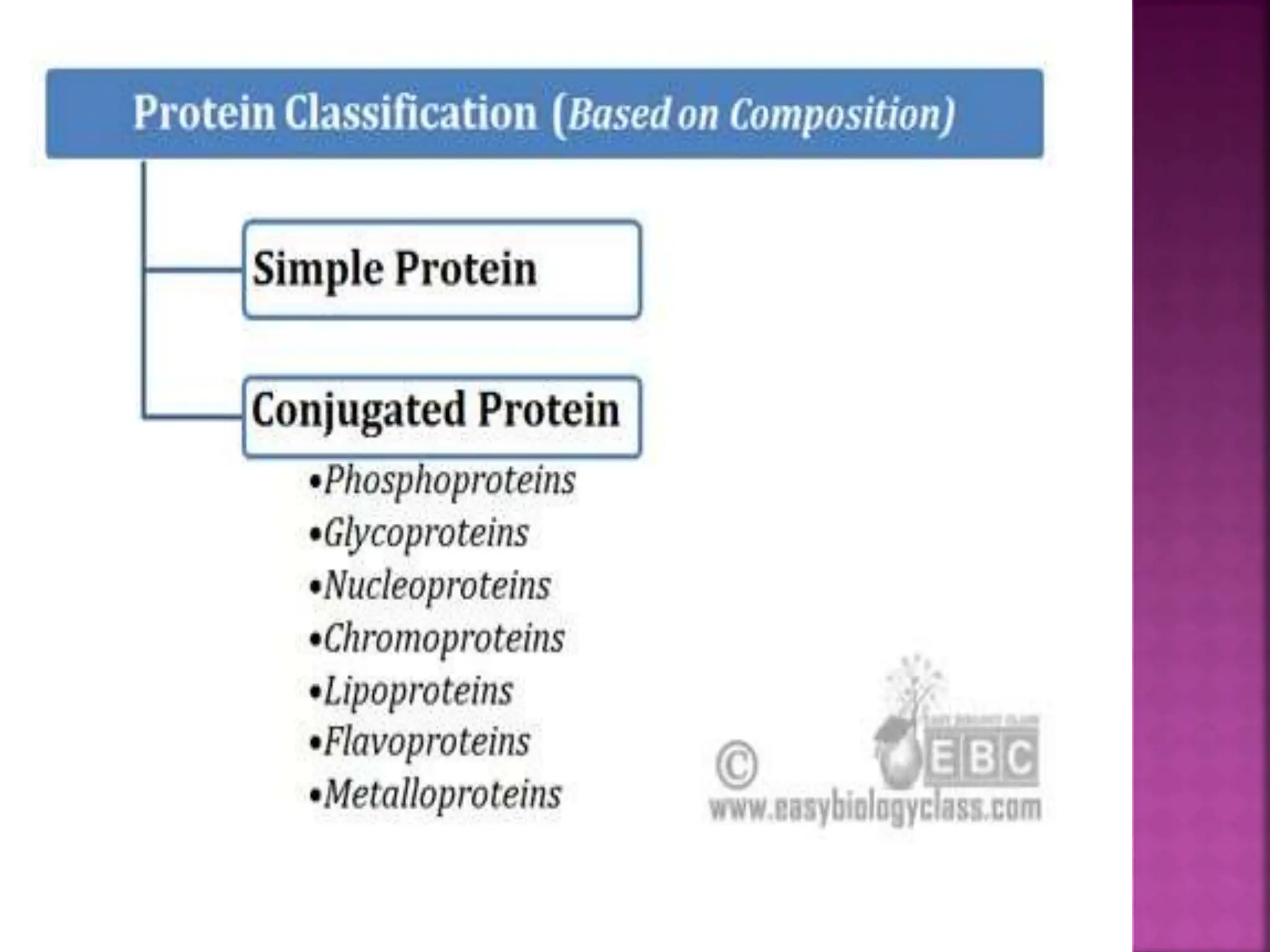 proteins and it's classification-B.sc nursing | PDF