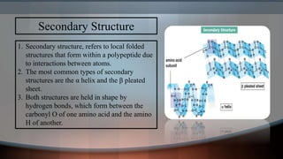 Proteins | PPTX
