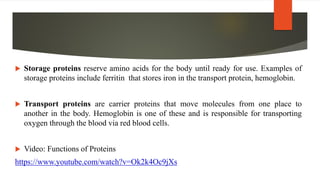 Proteins | PDF | Chemistry | Science