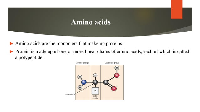 Proteins | PDF | Chemistry | Science