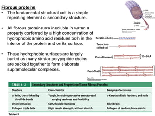 proteins.pdf