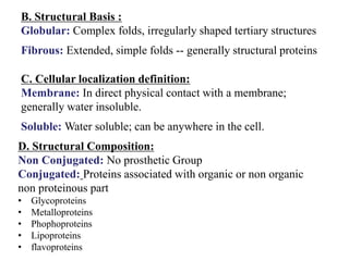 proteins.pdf