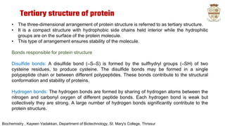 Proteins.pptx