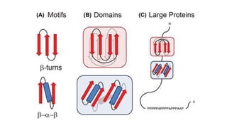 Proteins.pptx