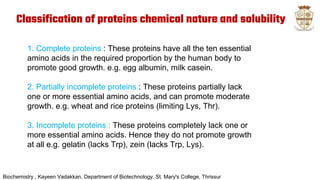 Proteins.pptx