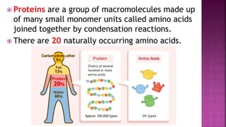 AS Biology - Proteins | PPTX