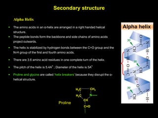 Proteins.ppt