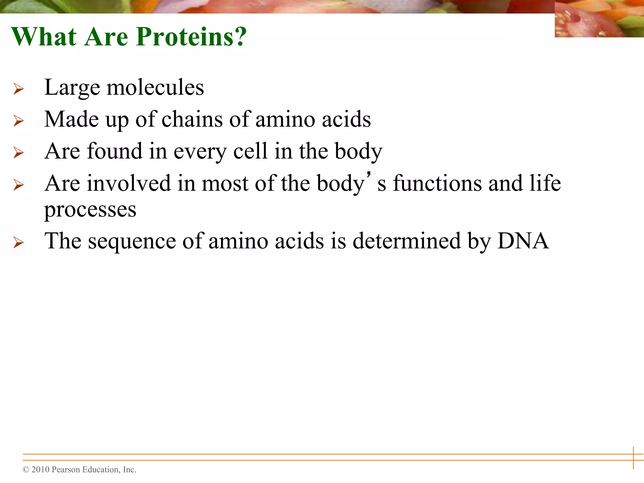 Proteins.ppt