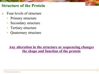 Proteins.ppt