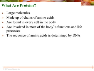 Proteins.ppt