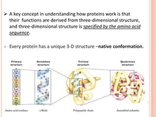 PROTEINS.pdf