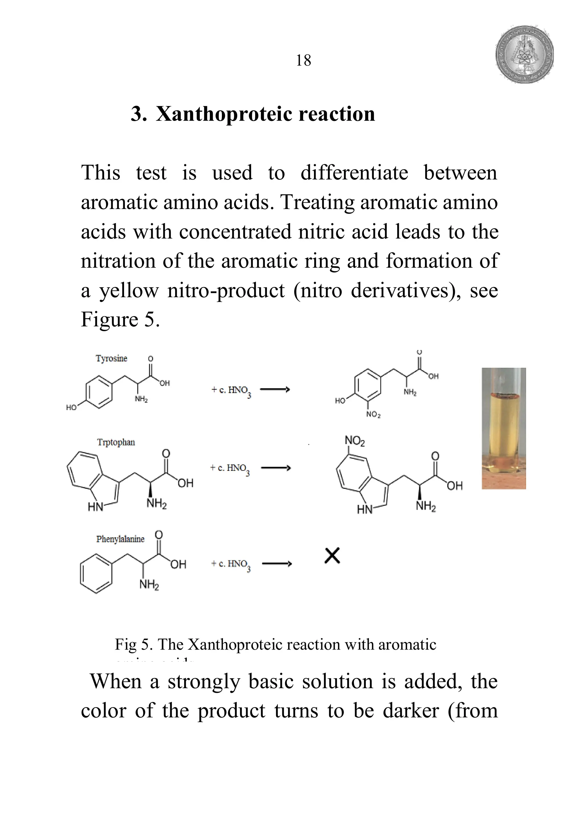 Qualitative tests of amino acids and proteins and enzyme kinetics | PDF