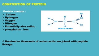 PROTEINS.pptx . | PPT