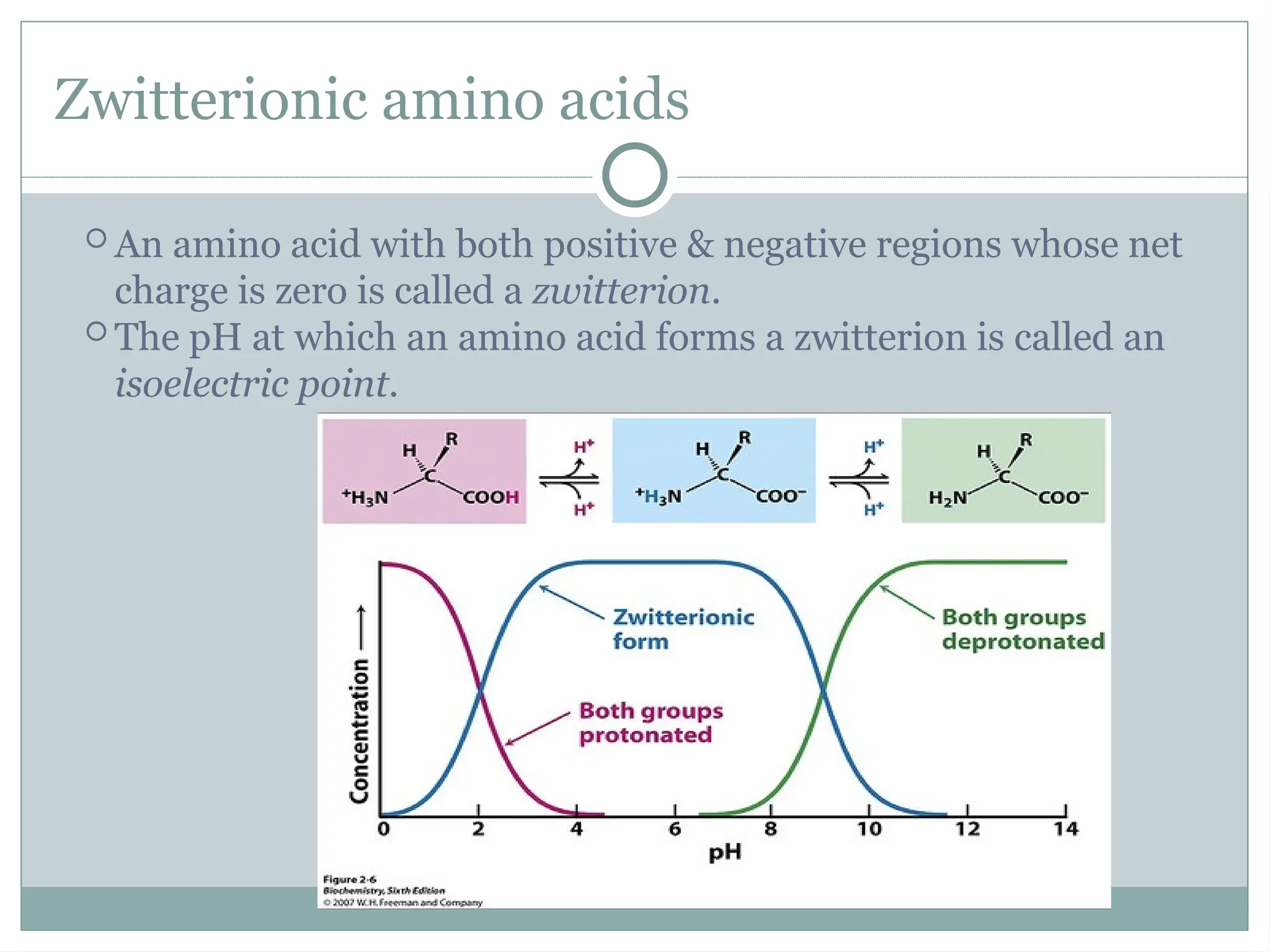 PROTEINS structure, function and properties.pptx