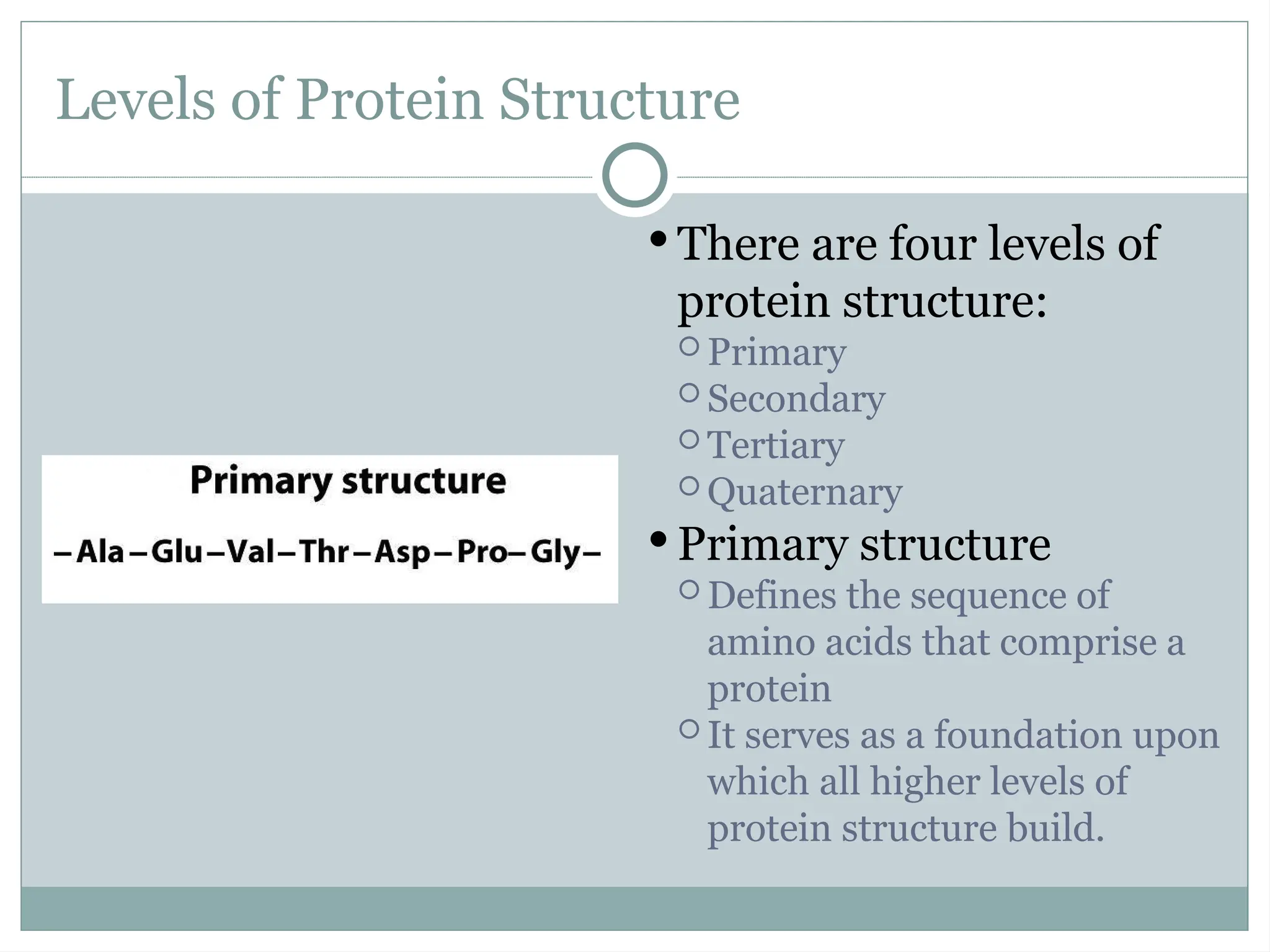 PROTEINS structure, function and properties.pptx