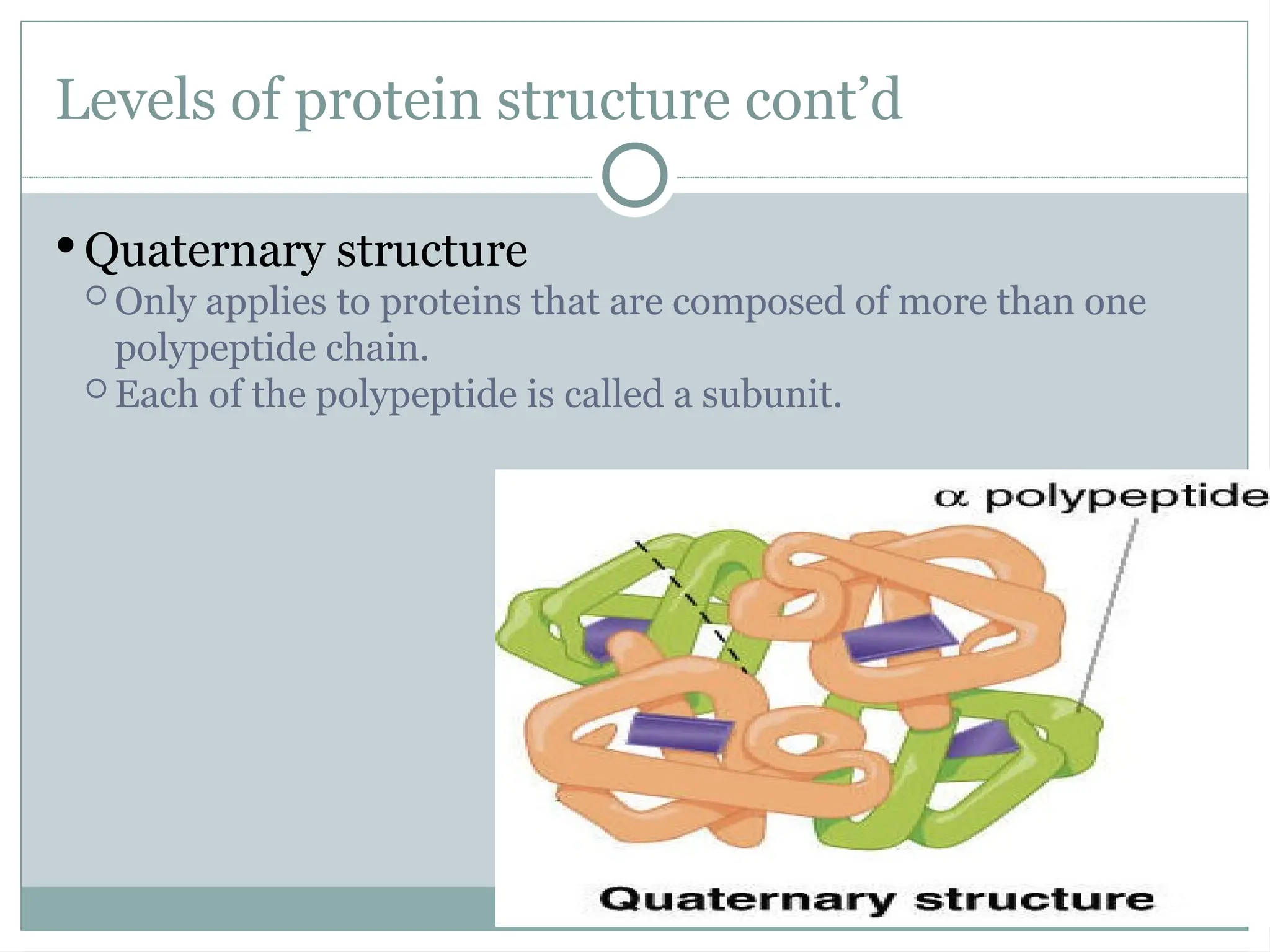 PROTEINS structure, function and properties.pptx