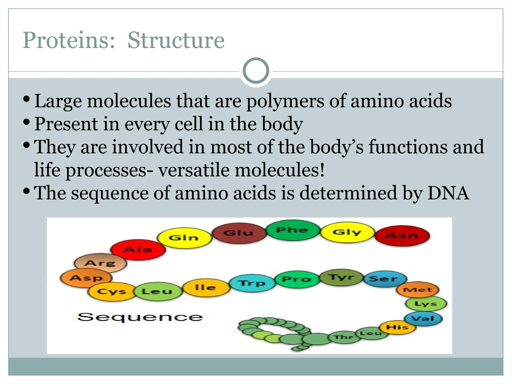 PROTEINS structure, function and properties.pptx
