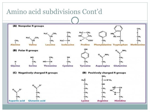 PROTEINS structure, function and properties.pptx