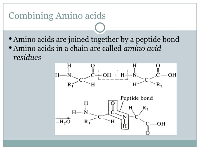 PROTEINS structure, function and properties.pptx