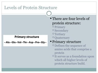 PROTEINS structure, function and properties.pptx