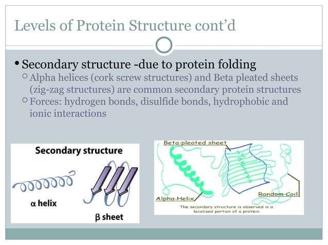 PROTEINS structure, function and properties.pptx