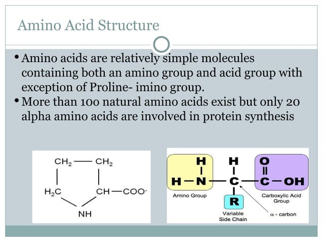 PROTEINS structure, function and properties.pptx