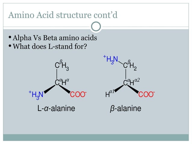 PROTEINS structure, function and properties.pptx