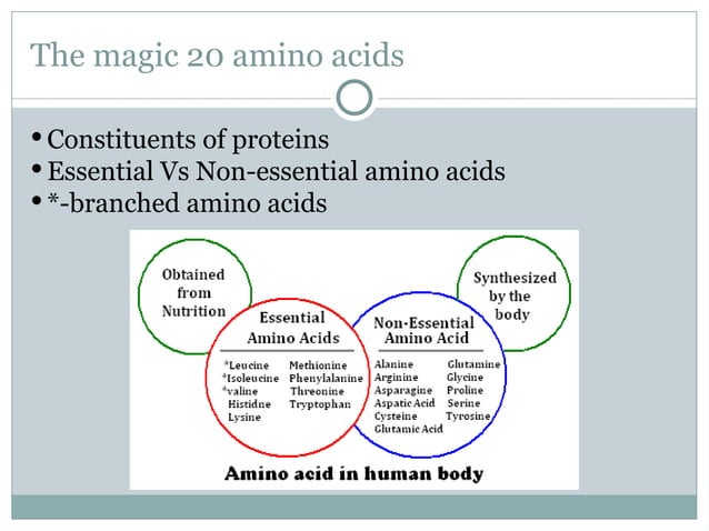PROTEINS structure, function and properties.pptx
