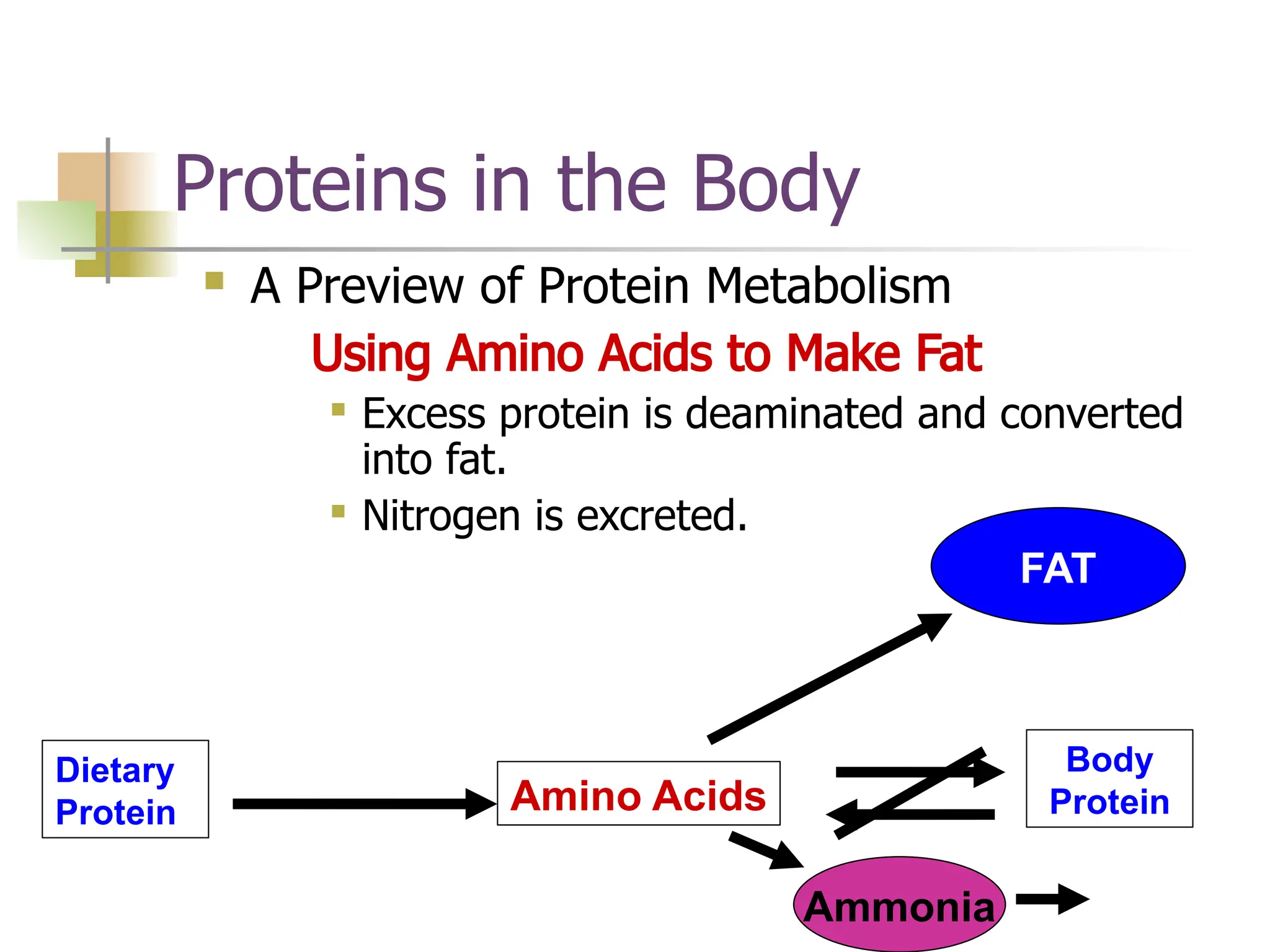 Introduction of proteins in biochemistry.pptx
