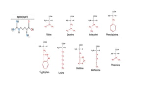 Proteins: Essential Building Blocks of Life.pptx