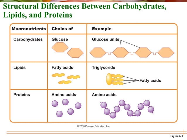 structure, classification and functions of amino acids | PPT ...