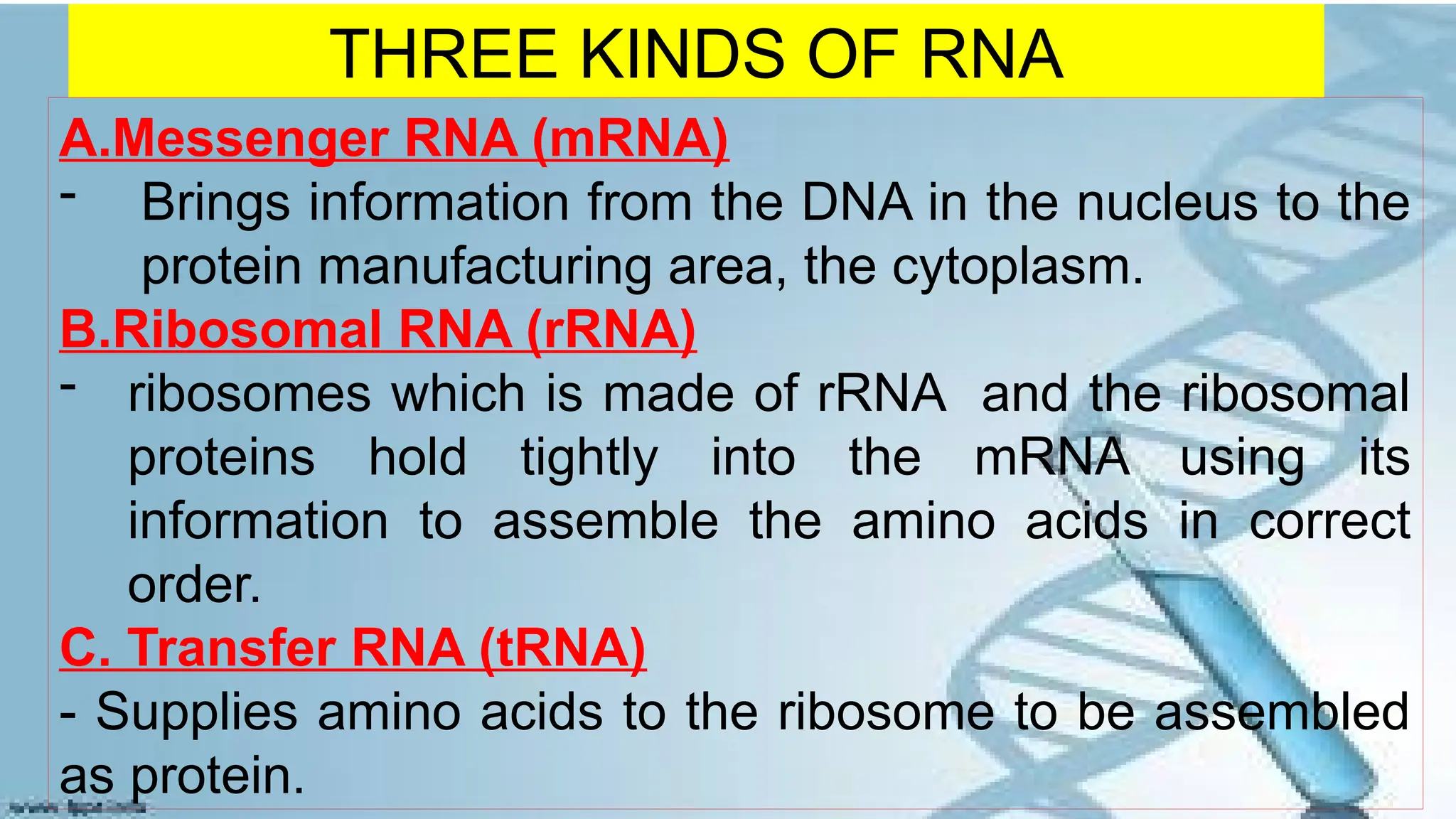 PROTEINS_GRADE 10 SCIENCE POWERPOINT PRES | PPTX