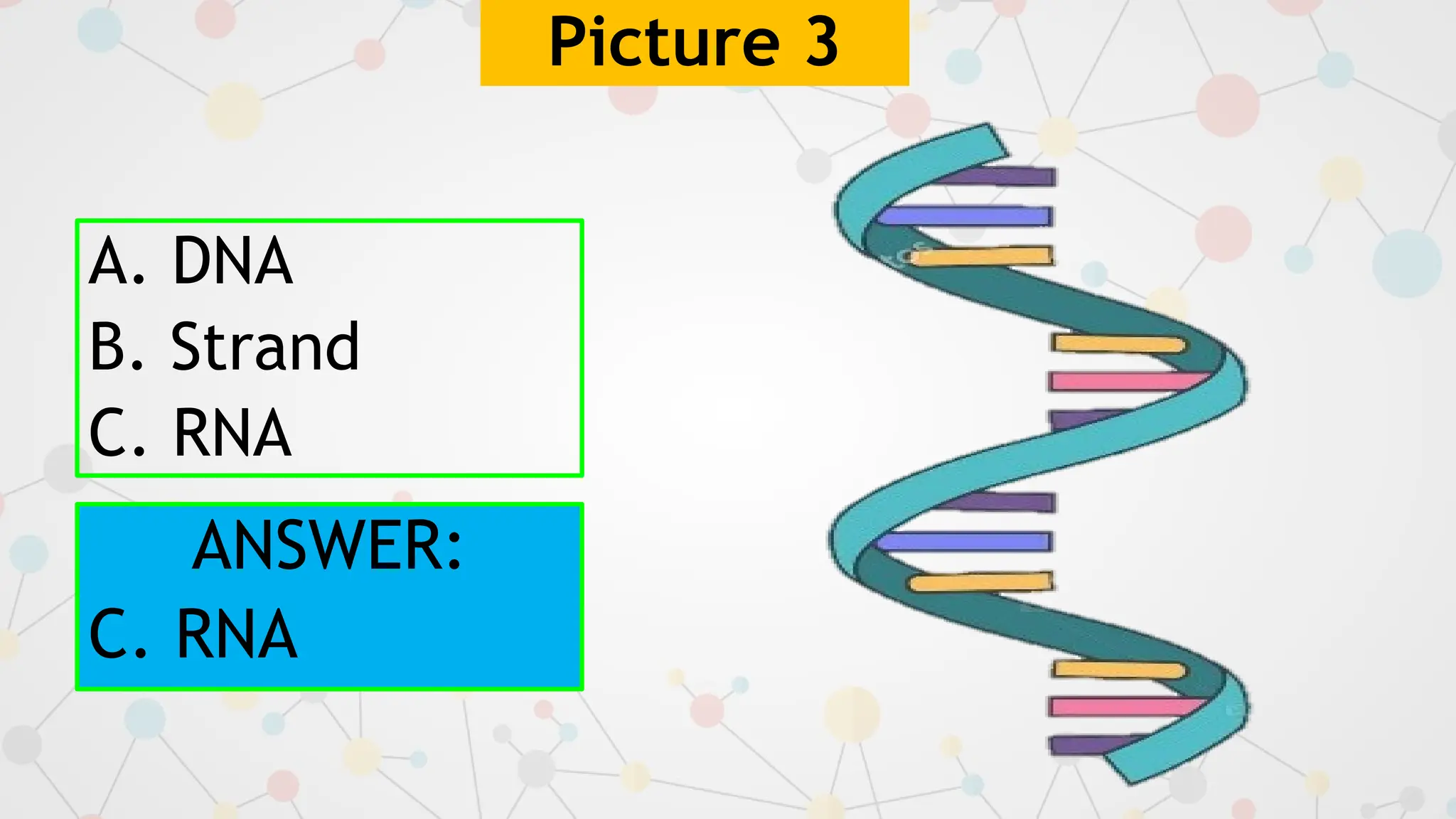 PROTEINS_GRADE 10 SCIENCE POWERPOINT PRES | PPTX