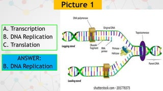 PROTEINS_GRADE 10 SCIENCE POWERPOINT PRES | PPTX