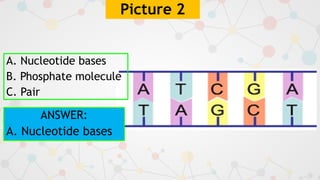 PROTEINS_GRADE 10 SCIENCE POWERPOINT PRES | PPTX