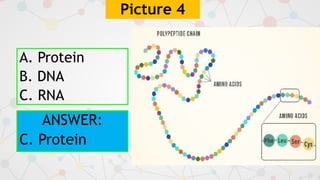 PROTEINS_GRADE 10 SCIENCE POWERPOINT PRES | PPTX