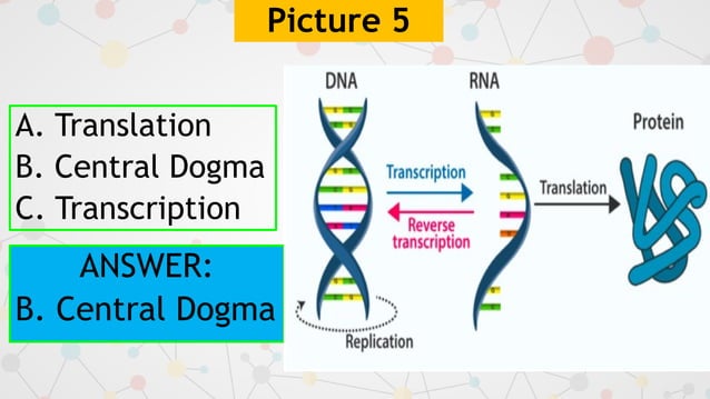 PROTEINS_GRADE 10 SCIENCE POWERPOINT PRES | PPTX