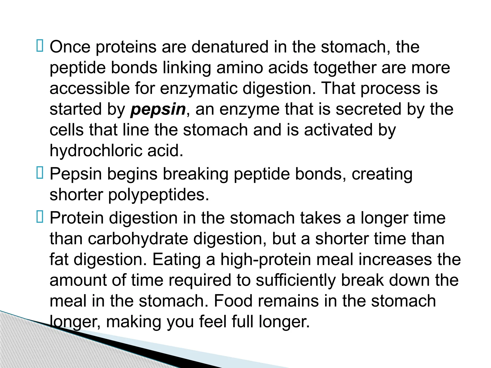 proteins.fat carbs macronutrientsmajpptx | PPTX
