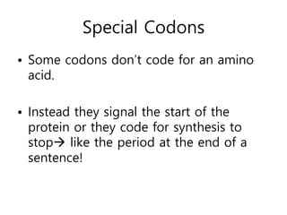 A Presentation on Protein Synthesis for Students | PDF