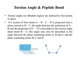 Proteins structure , functions, physical and properties | PPTX