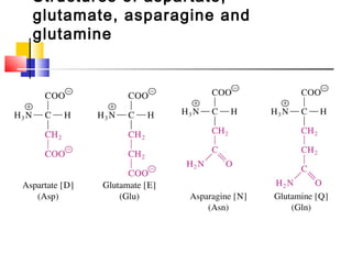 Proteins basics | PPT