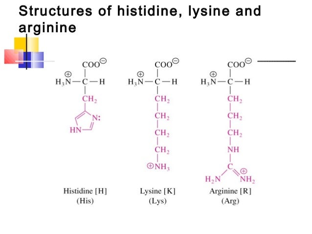 Proteins basics