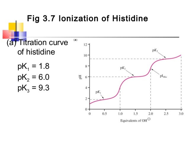 Proteins basics
