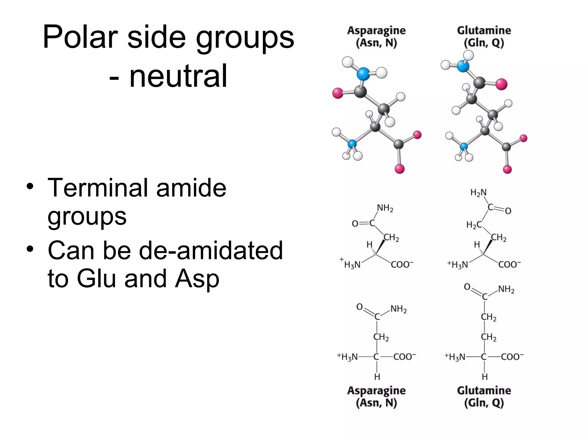 Proteins – Basics you need to know for Proteomics | PPT