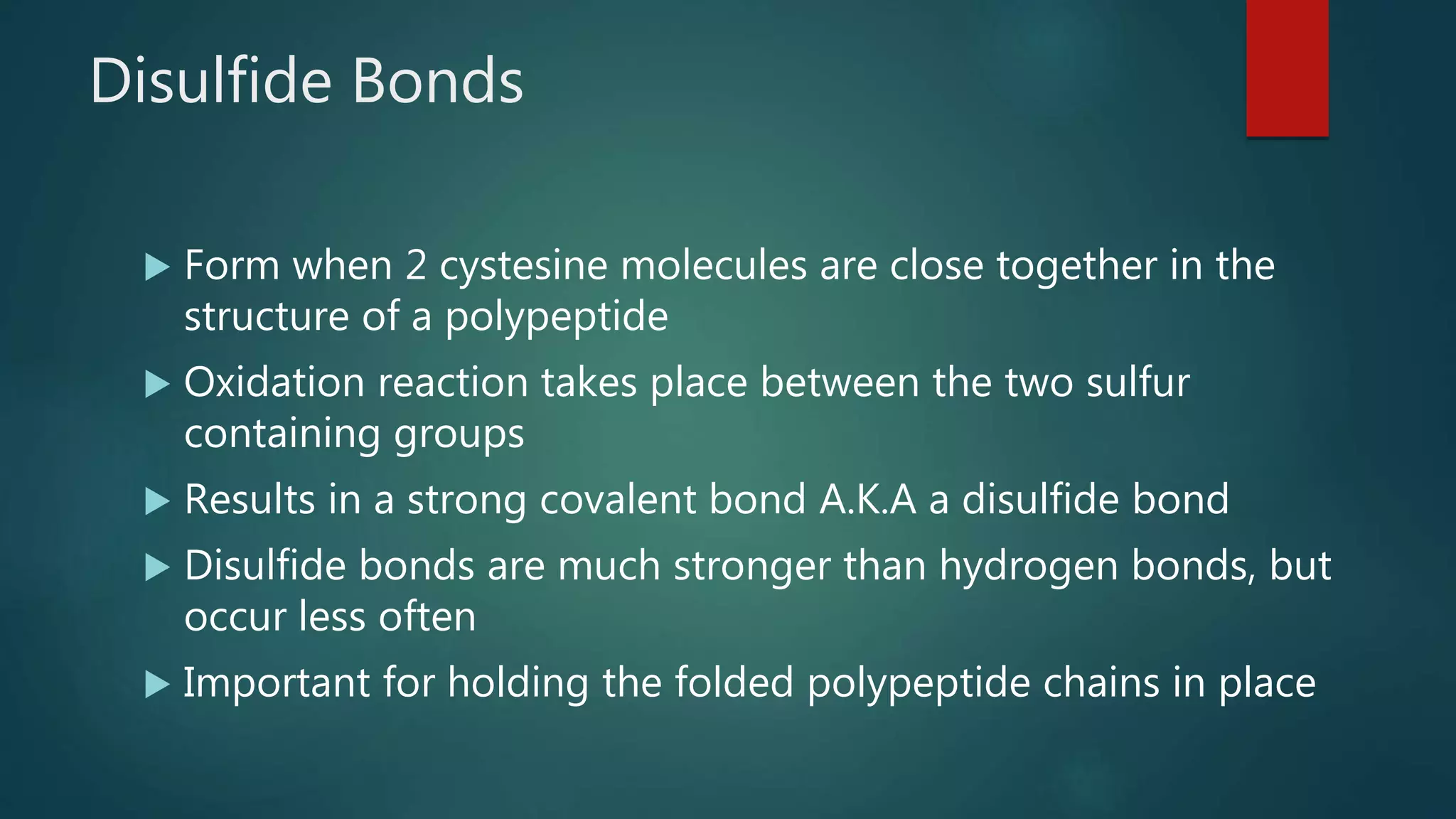 Proteins - Edexcel A-Level Biology B Topic 1.2 | PPTX