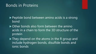 Proteins - Edexcel A-Level Biology B Topic 1.2 | PPTX