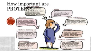 PROTEINS-Functions and Categories.pptx
